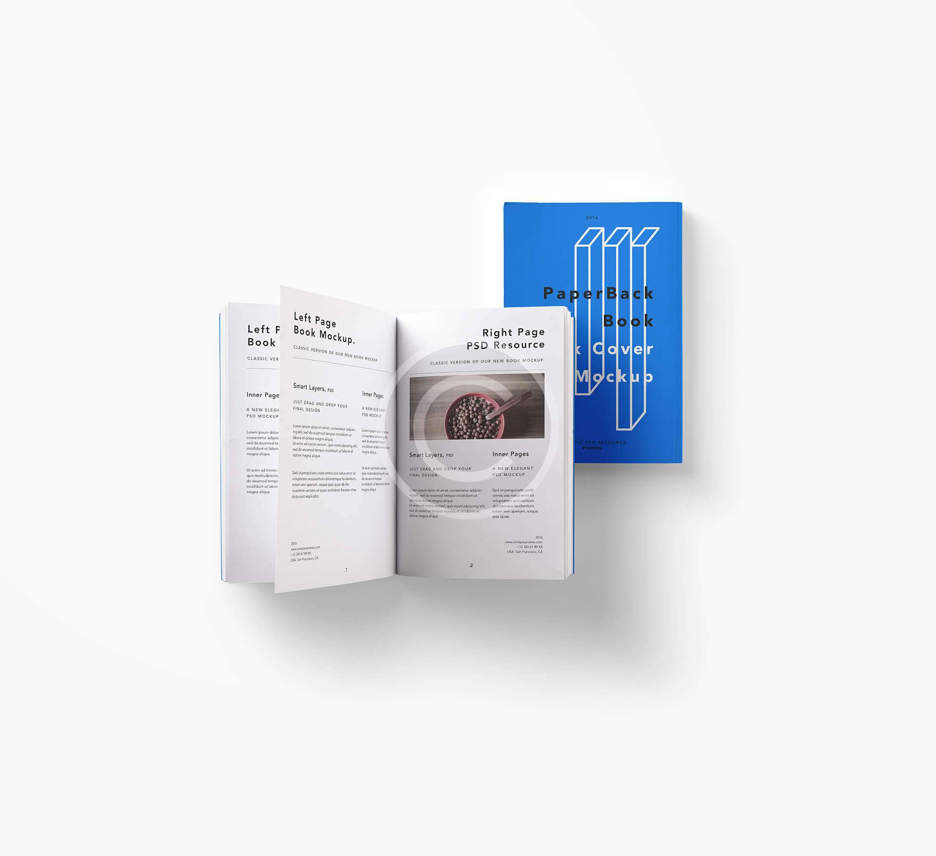 Magazines and catalogs – Repid